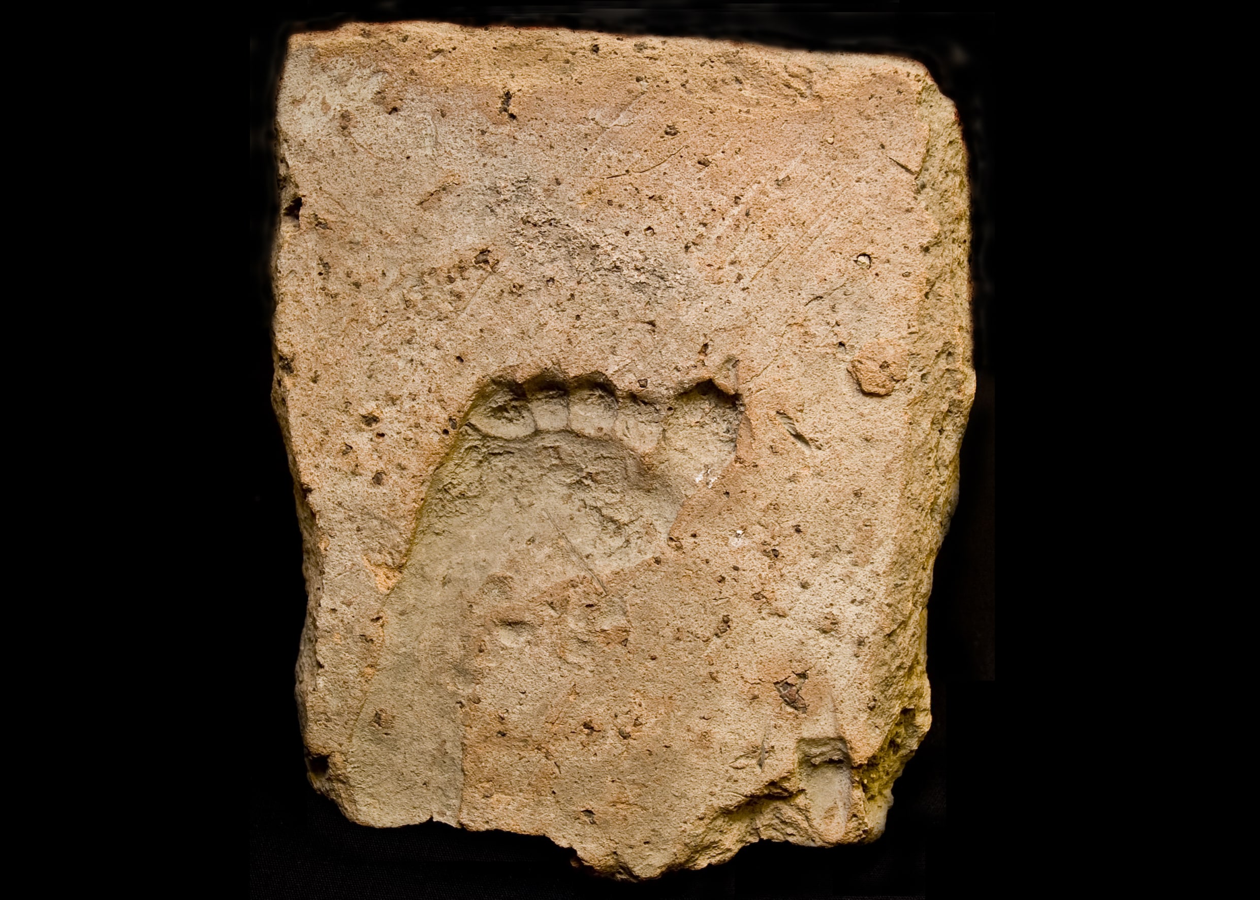 Footprints around Roman Malton and beyond - Malton Museum