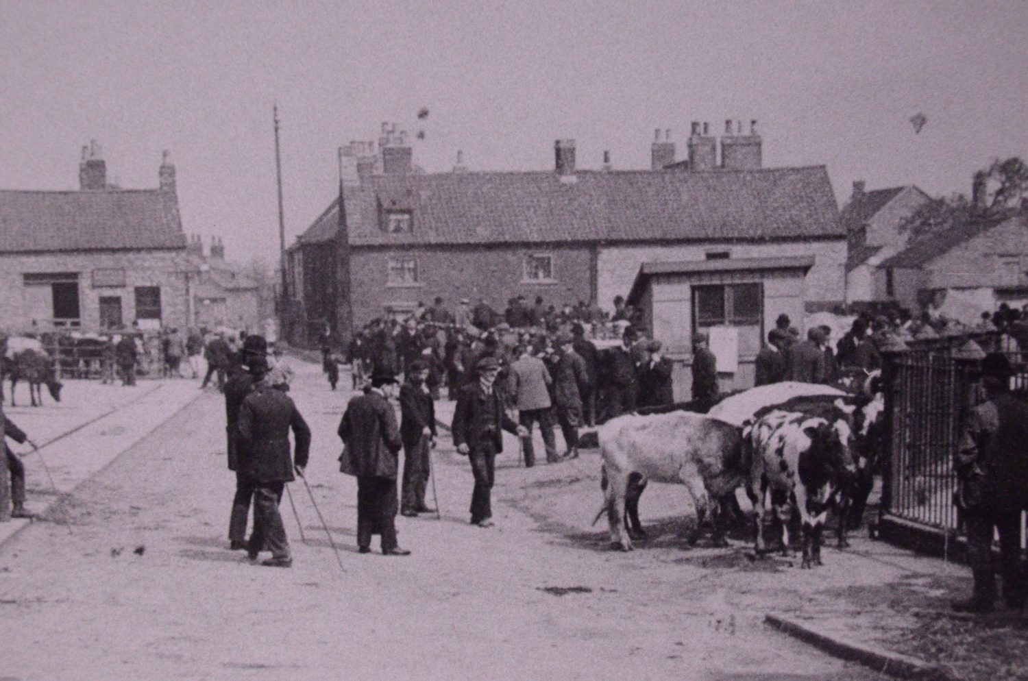Oral History Project - Malton Museum