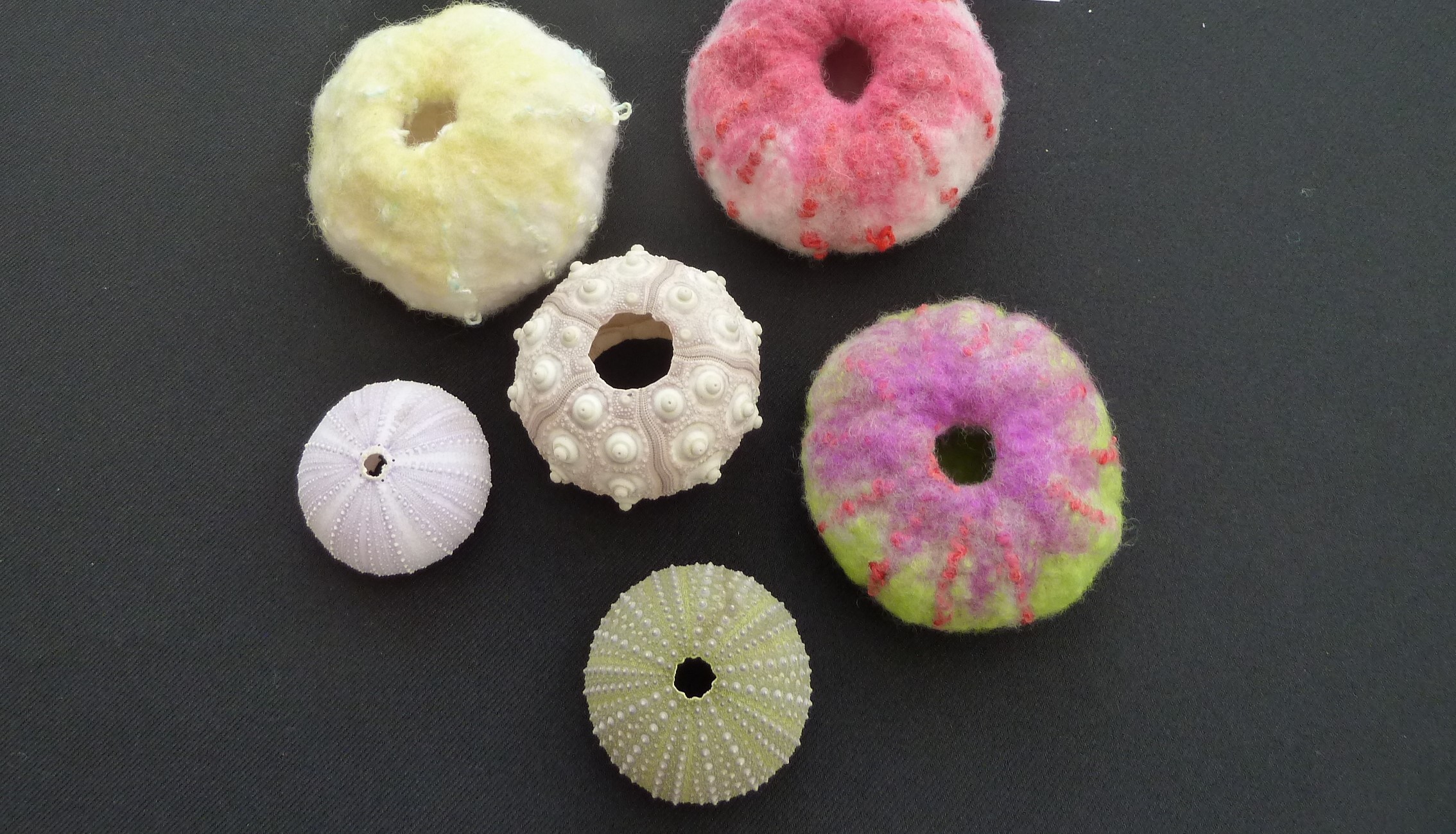 Adult Crafts: 3D Felt - Malton Museum