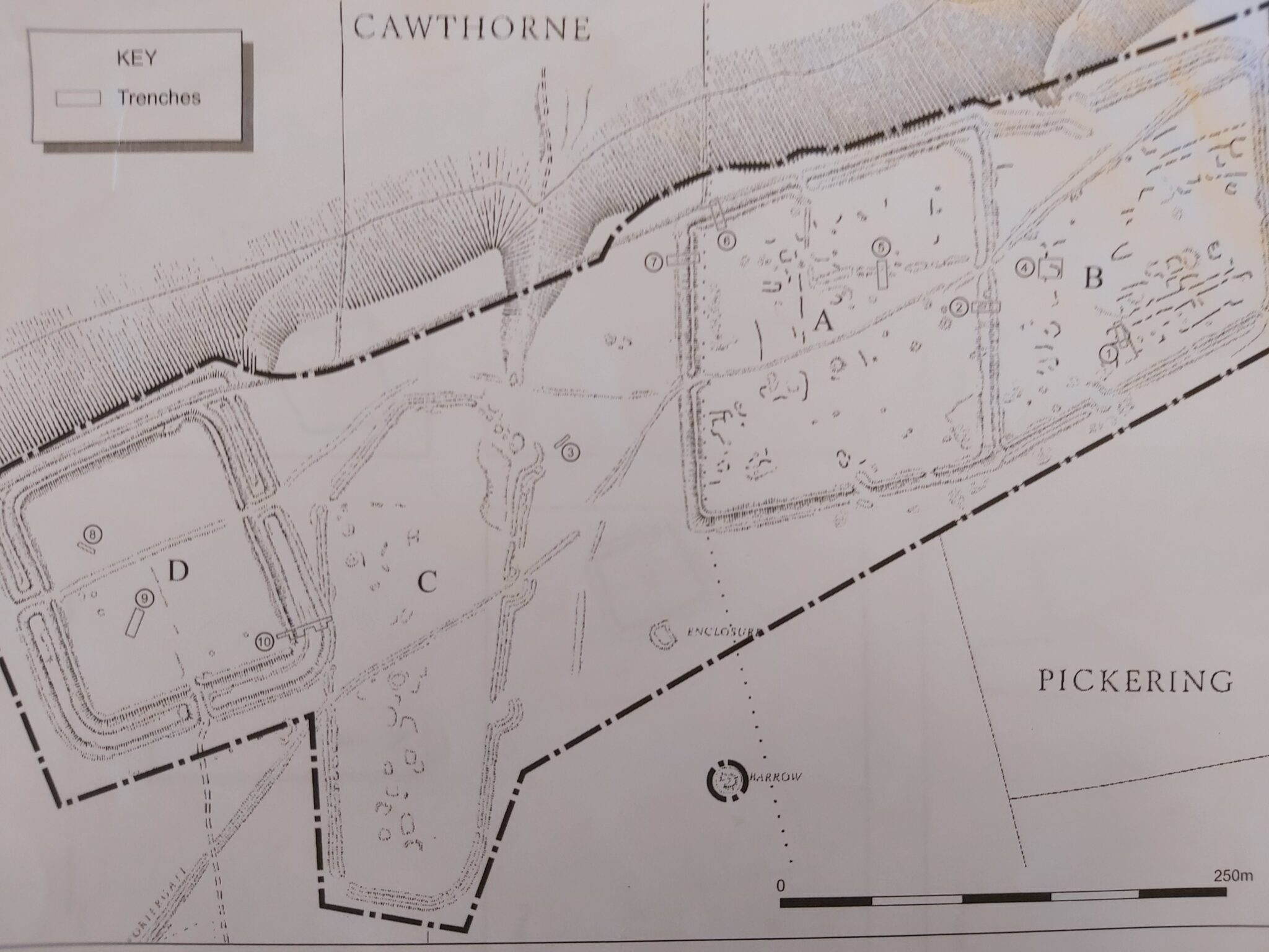 Cawthorn Camps - The Romans at Cawthorn - Malton Museum