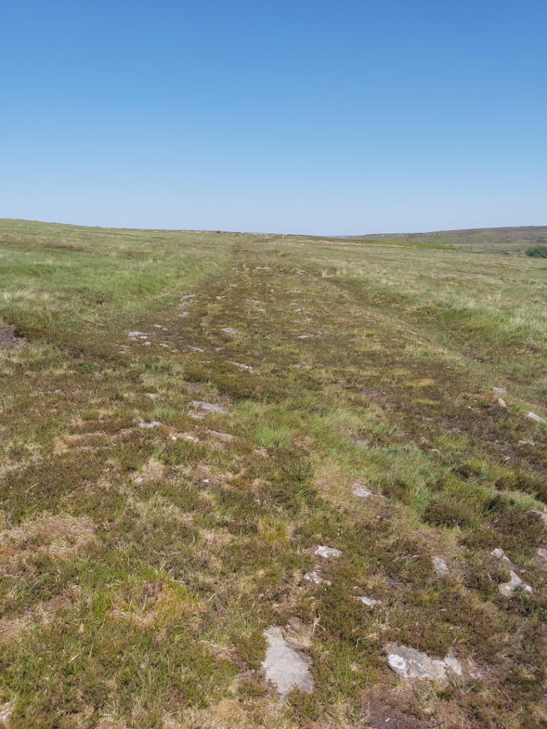 Wade`s Causeway. A Roman Road? - Malton Museum