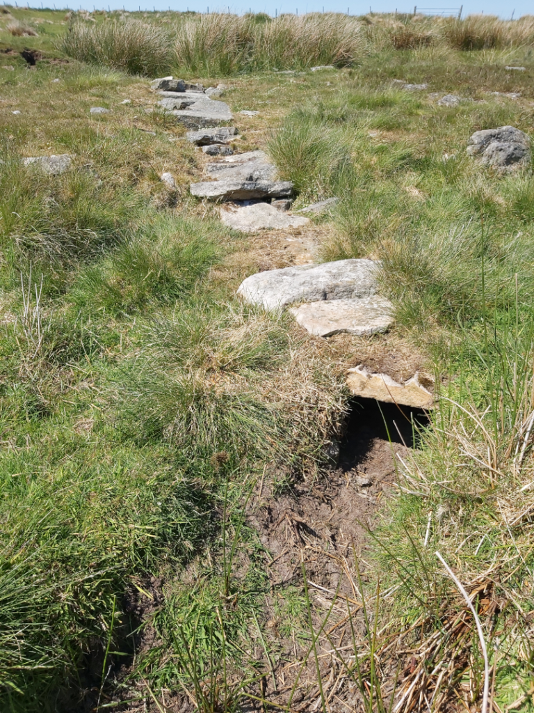 Wade`s Causeway. A Roman Road? - Malton Museum
