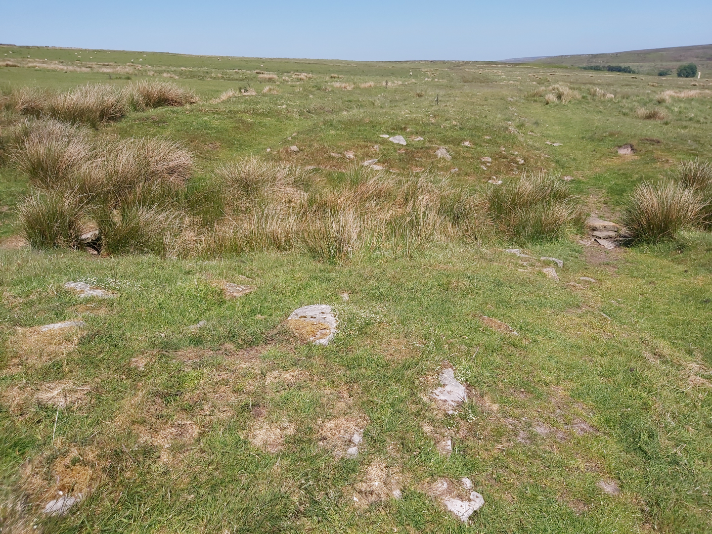 Wade`s Causeway. A Roman Road? - Malton Museum